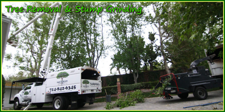 David’s Tree Service